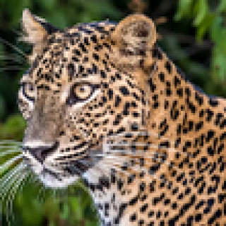 Mooiste plekken op aarde | 100X mooiste gebieden