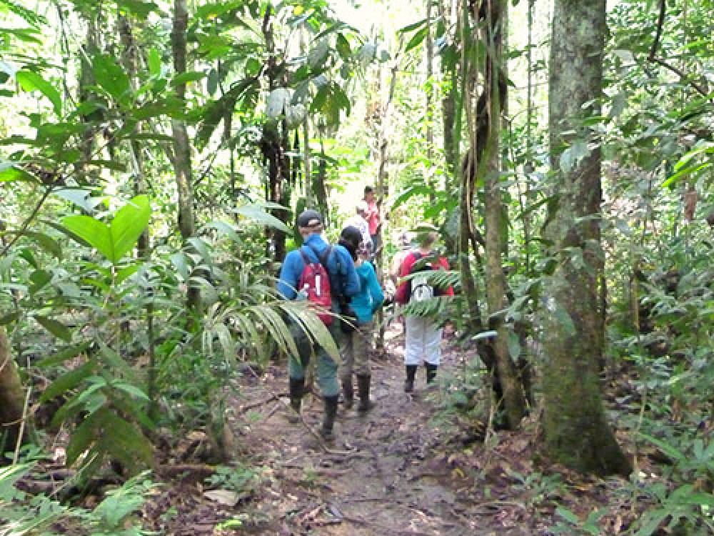 Jungle in Ecuador | De 4 mooiste jungle gebieden