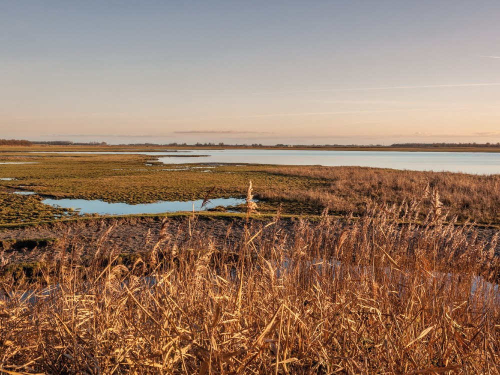 9x Mooiste plekken in Friesland | Naturescanner