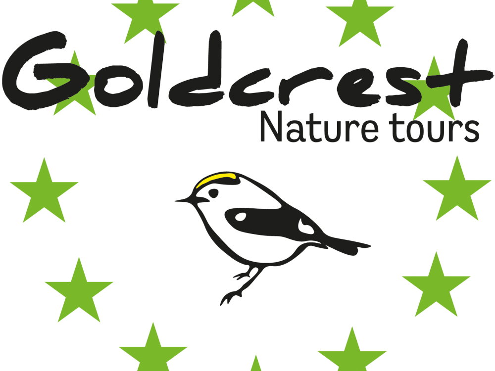 Reviews Goldcrest Nature Tours | Lees beoordelingen
