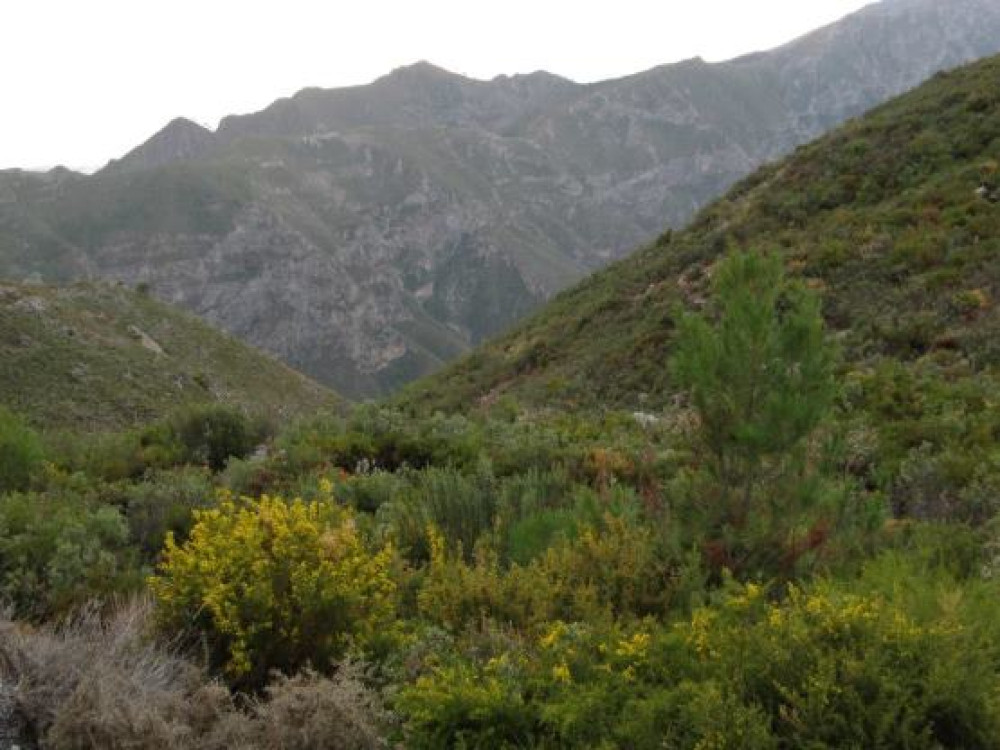 Wandelen in Andalusie | Tips wandelvakantie Zuid-Spanje