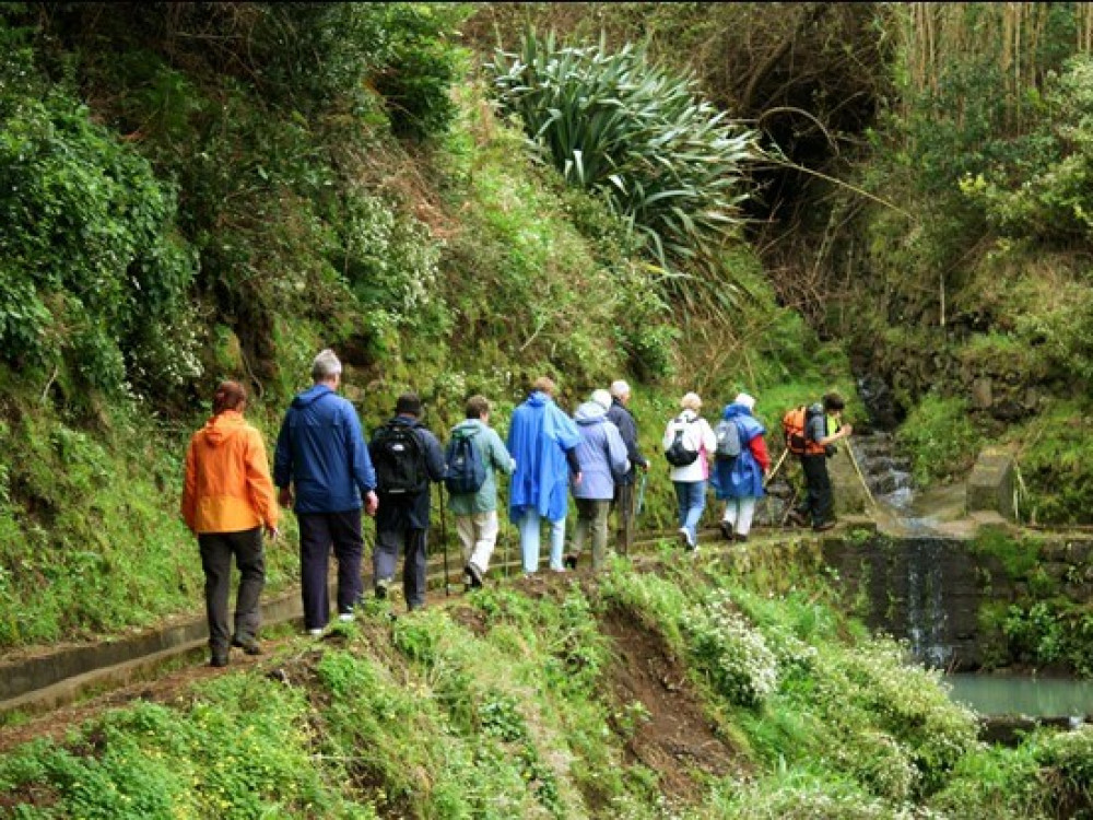 Wandelen op Madeira | Wandelvakantie langs levada's en bergroutes