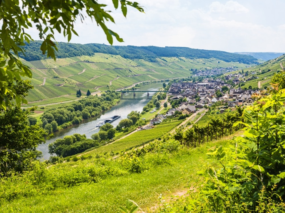 Fietsen in de Moezel | 4 Tips fietsvakantie Moezel