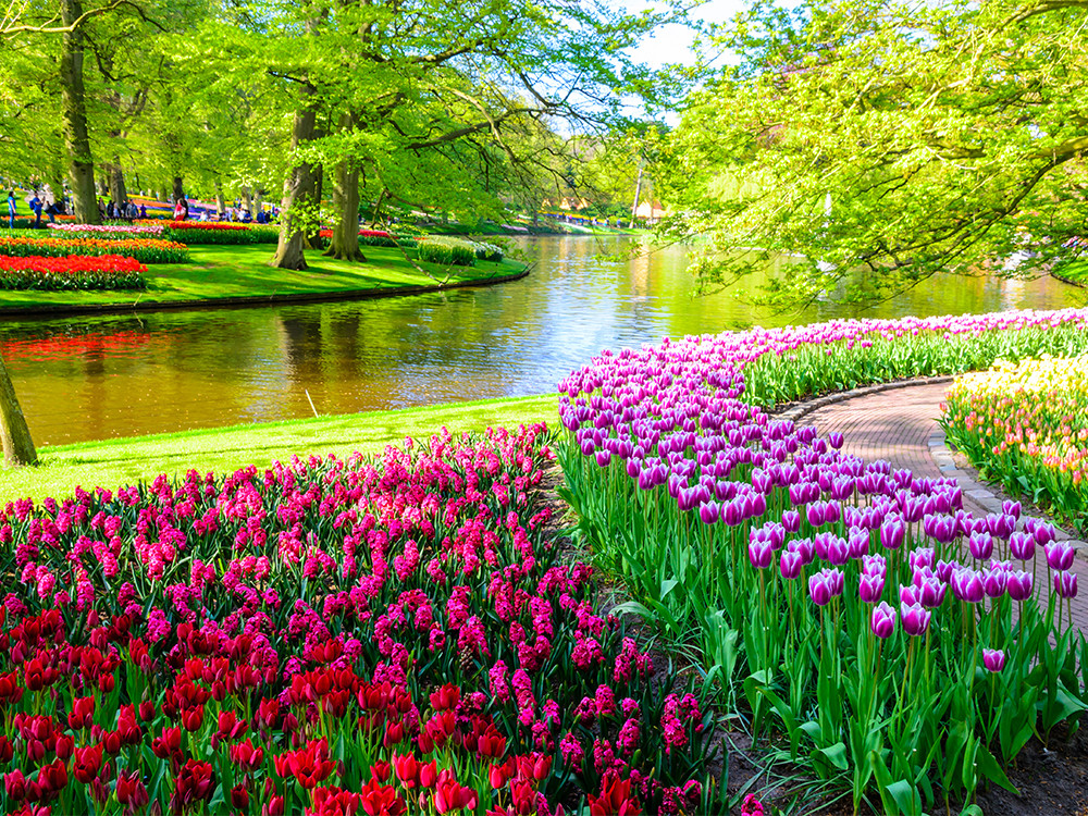 8x Mooiste plekken Bollenstreek | Bloemenvelden in Nederland