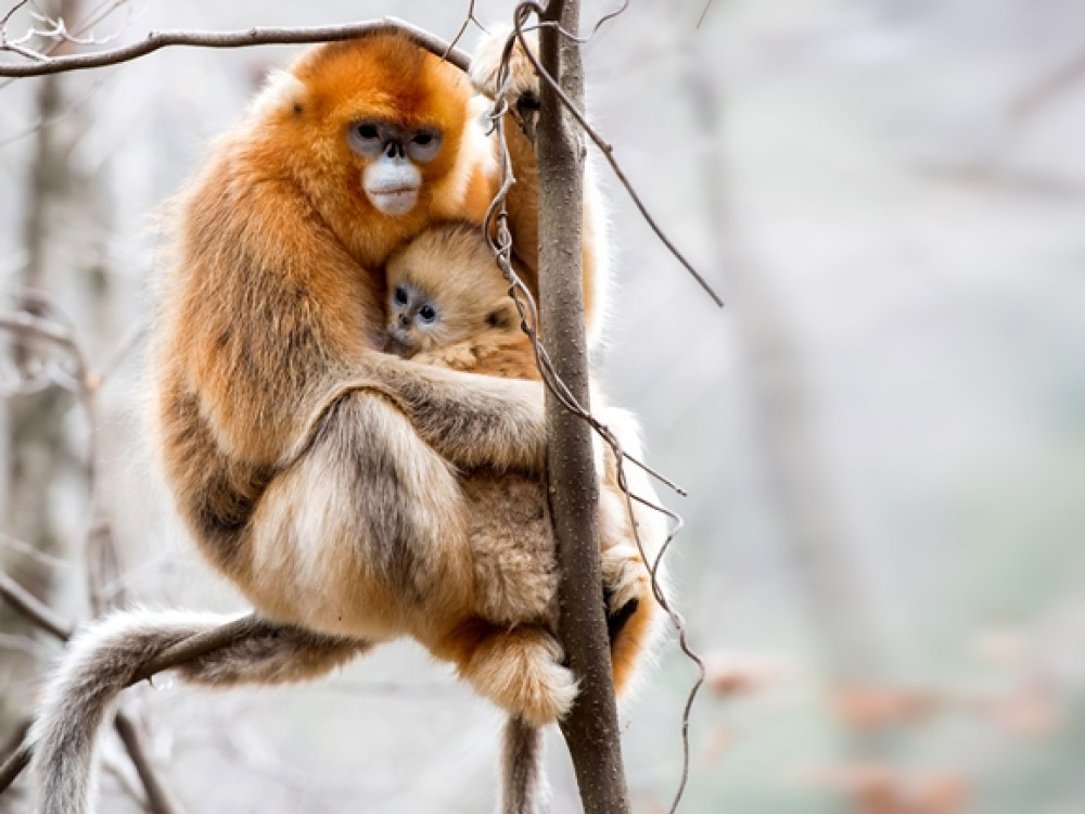 China natuur | 10 tips voor natuurreizen en mooie plekken