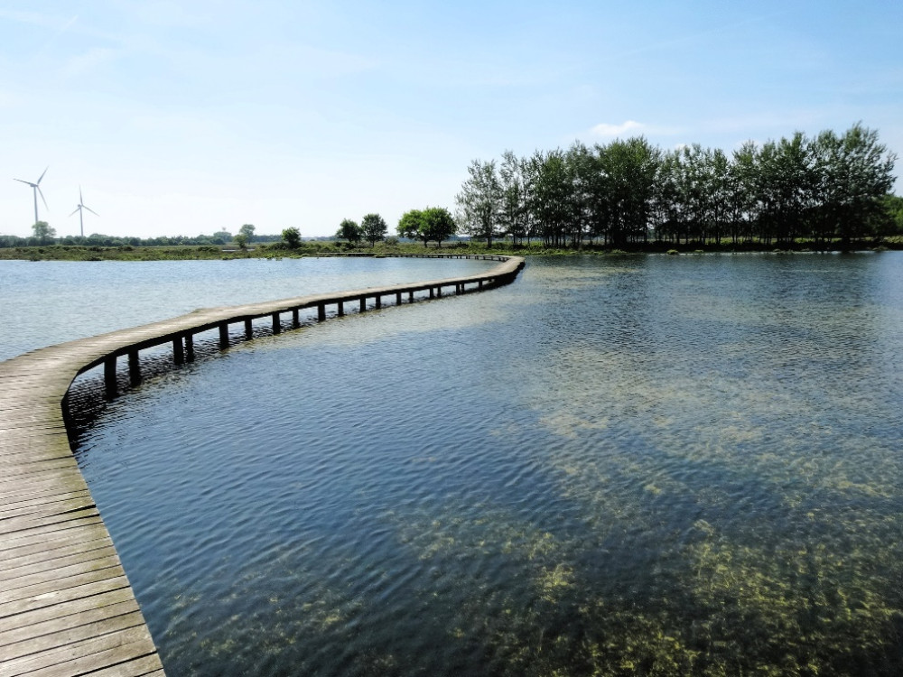 Oisterwijkse Bossen en Vennen | Groene Woud
