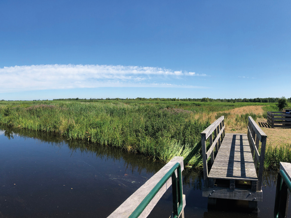 Mooiste plekken Friesland | 9x leuke natuurgebieden