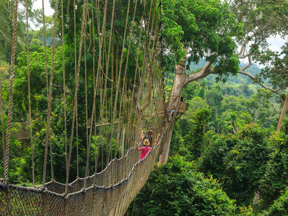 Natuur Ghana | Tips over de mooiste gebieden in Ghana