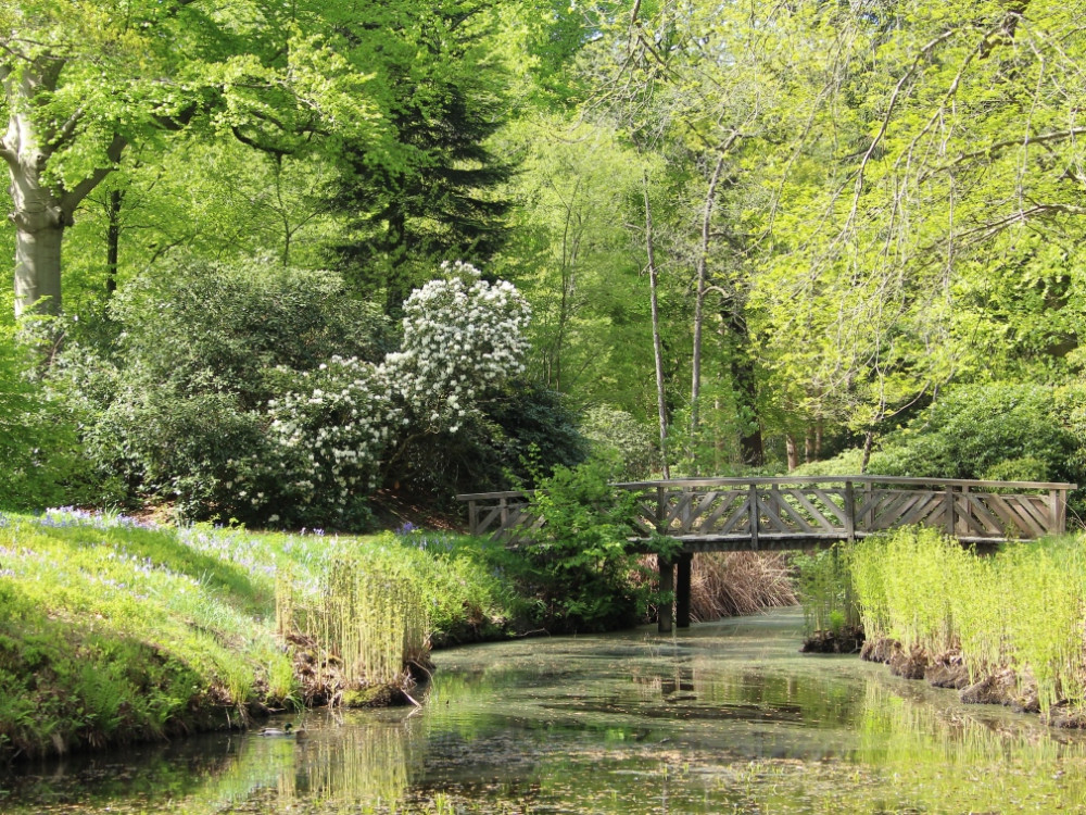 Mooiste plekken Friesland | 9x leuke natuurgebieden