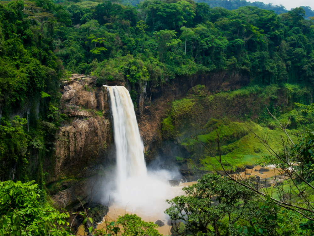Tips Kameroen reis | Natuur en reizen Kameroen