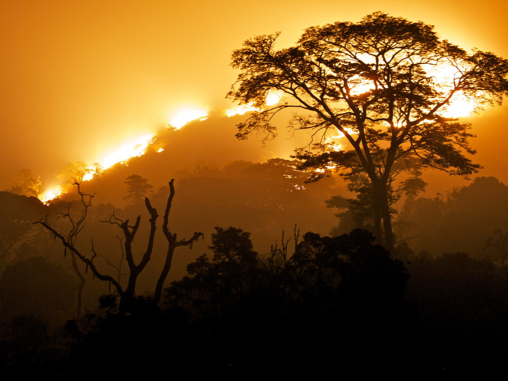 Tips Kameroen reis | Natuur en reizen Kameroen