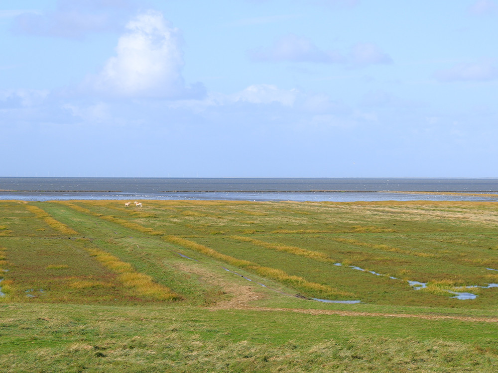 Werelderfgoed Waddenzee | Mooie plekken aan de kust