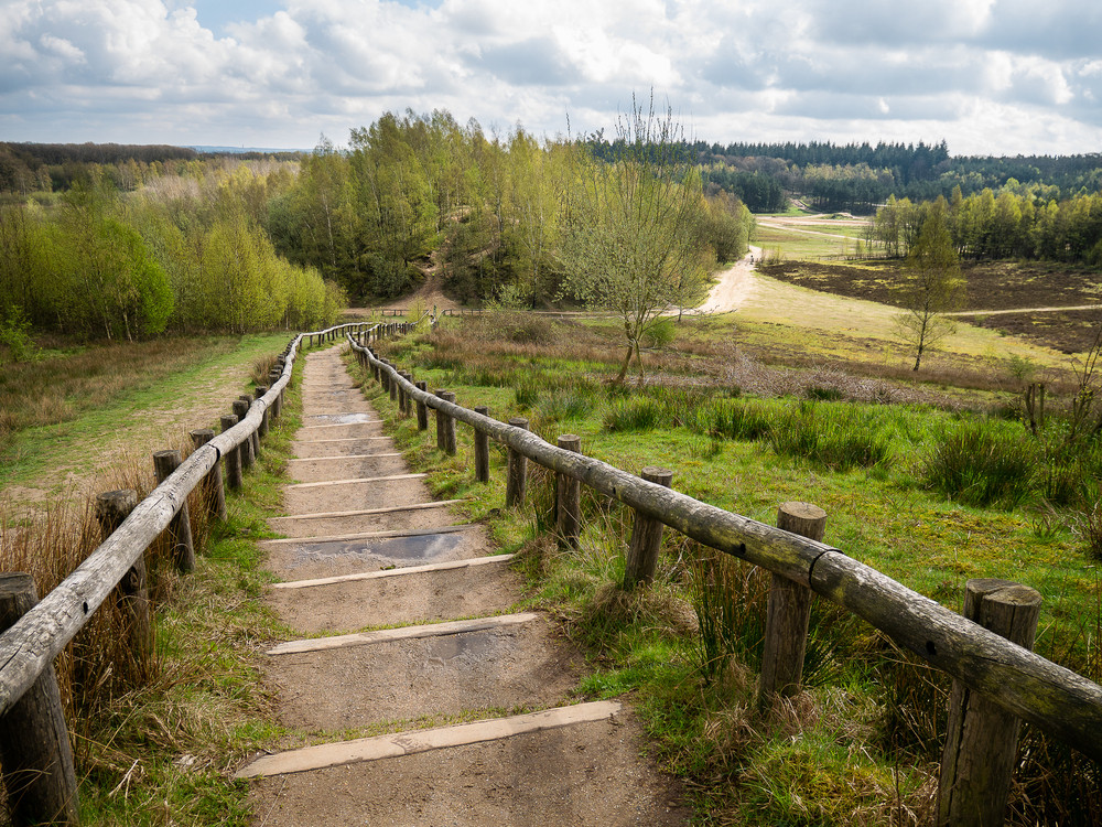 Tips Utrechtse Heuvelrug | 11 x Mooie plekken en natuur