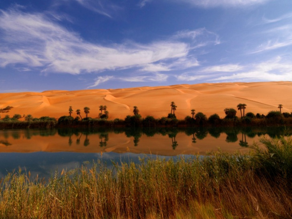 Natuur in Libië | Libie reizen op NatureScanner.nl