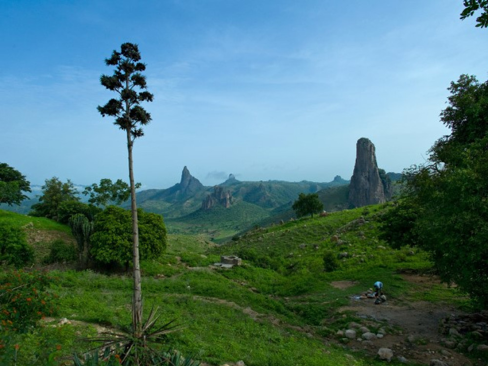 Wat te zien en wat te doen in Kameroen?