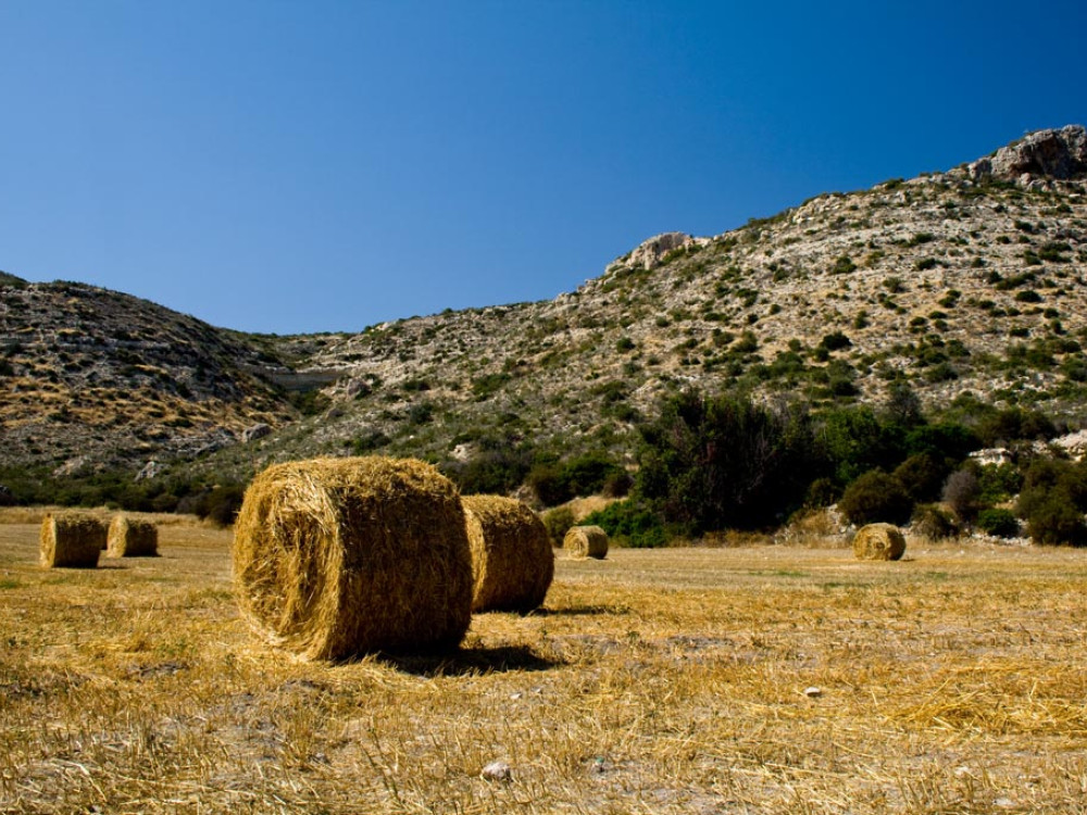 Natuur op Cyprus | De mooiste plekjes op Cyprus