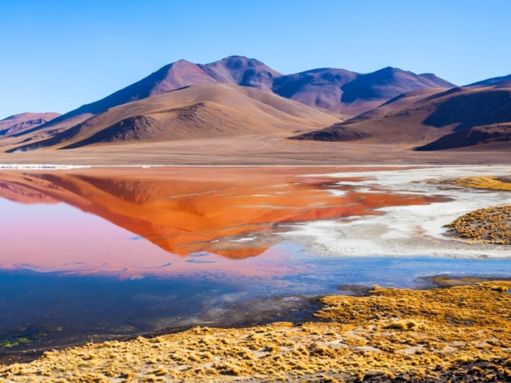 Natuur in Bolivia en leuke reistips naar de mooiste gebieden