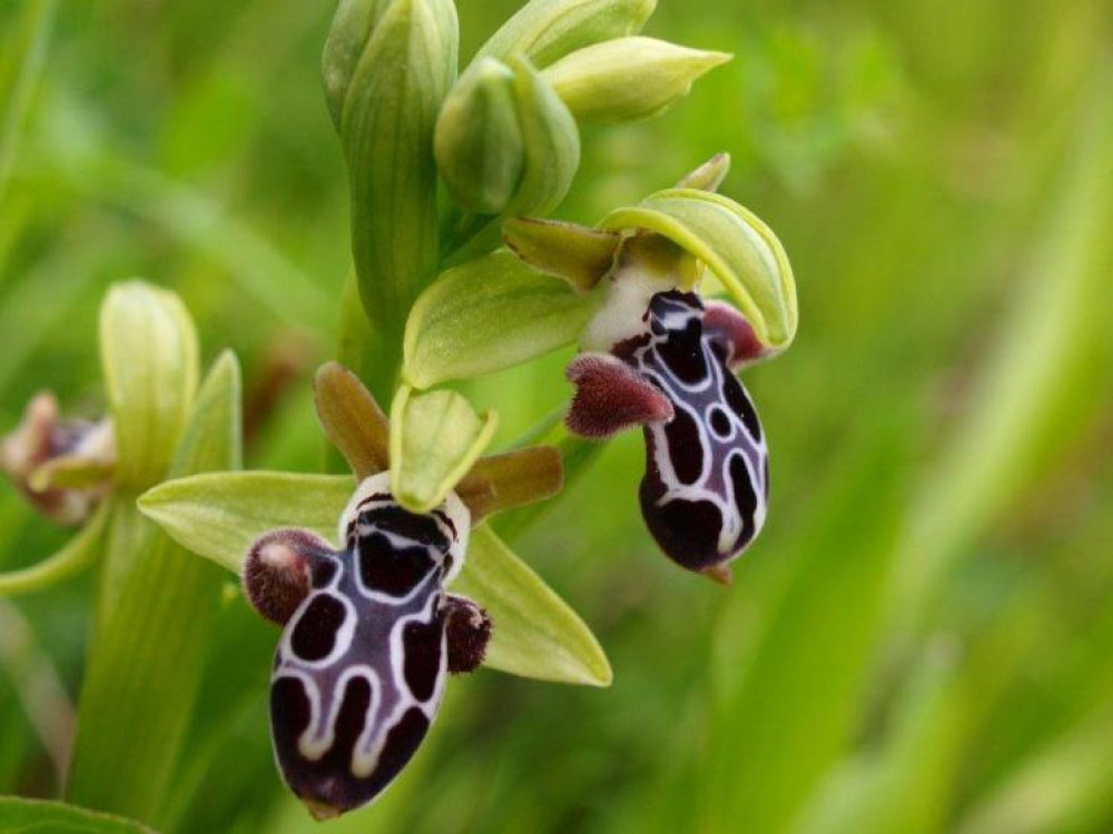 6x Natuur op Cyprus | De mooiste plekjes op Cyprus