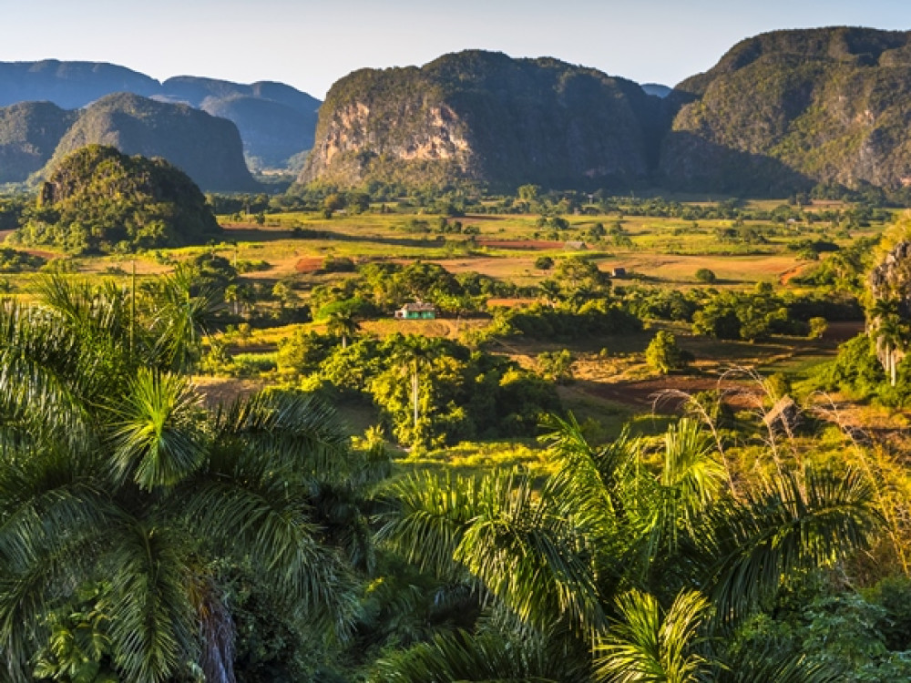 Natuur op Cuba | Reistips naar de mooiste plekken in Cuba