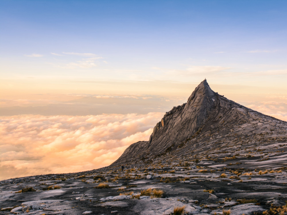 Kota Kinabalu | Mount Kinabalu beklimmen