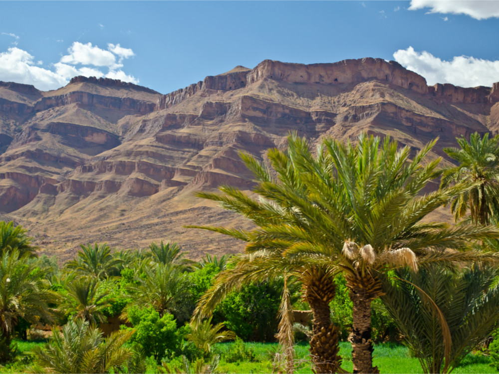 De Draa Vallei in Marokko | Reistips Draa Vallei