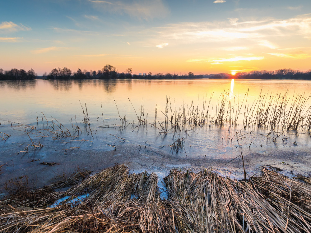 Natuur in Limburg | 10x Mooiste plekken in de provincie