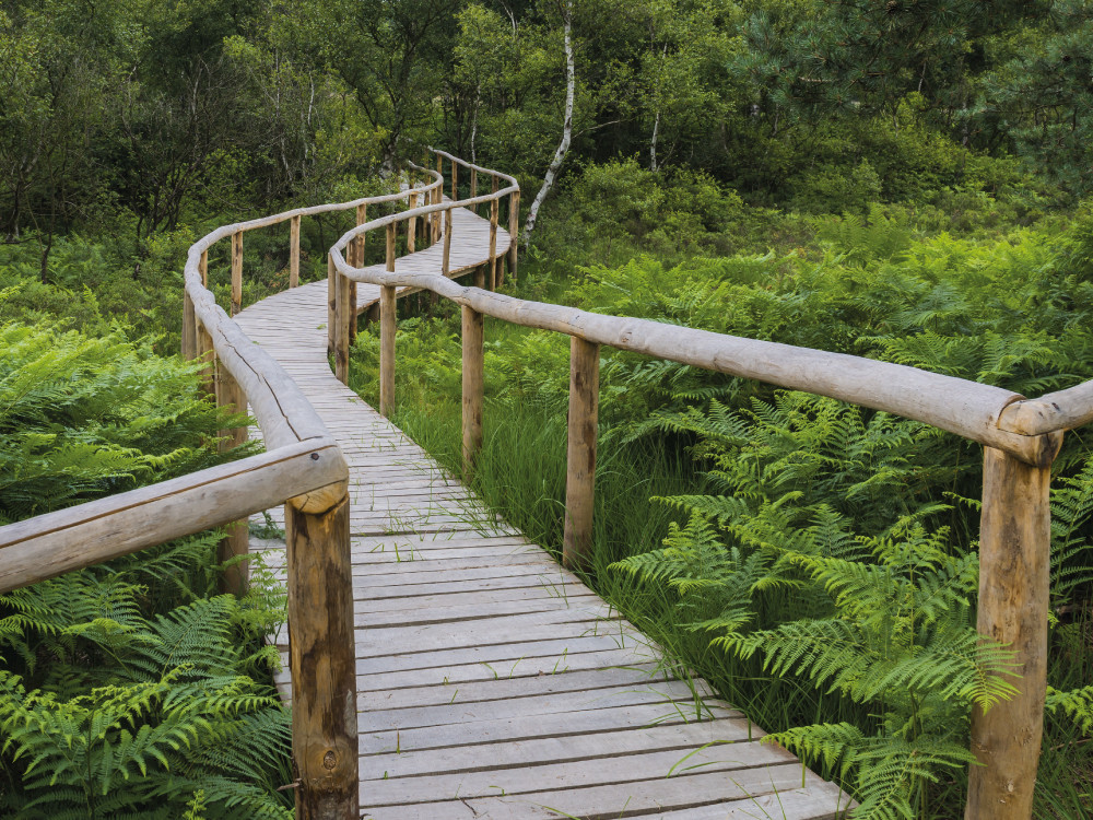 Wat te doen en zien in Limburg?