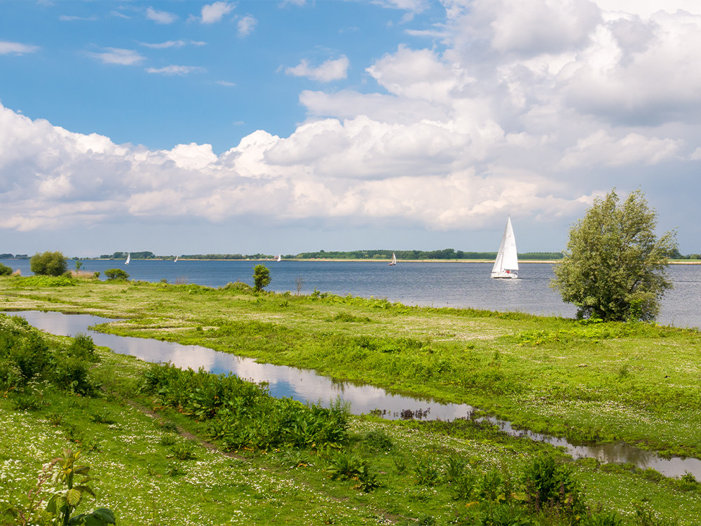 Natuur in Zuid-Holland | De 8 mooiste plekjes in de natuur