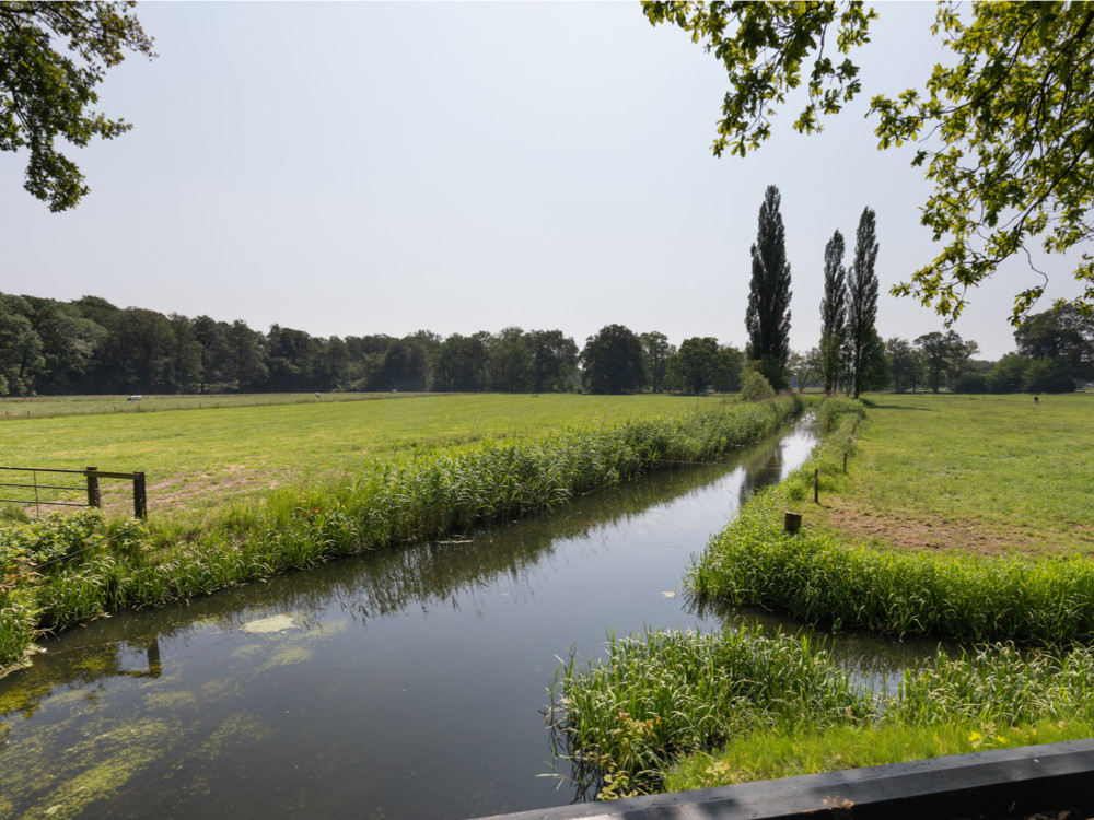Natuur in Twente | Mooiste plekjes in Twente
