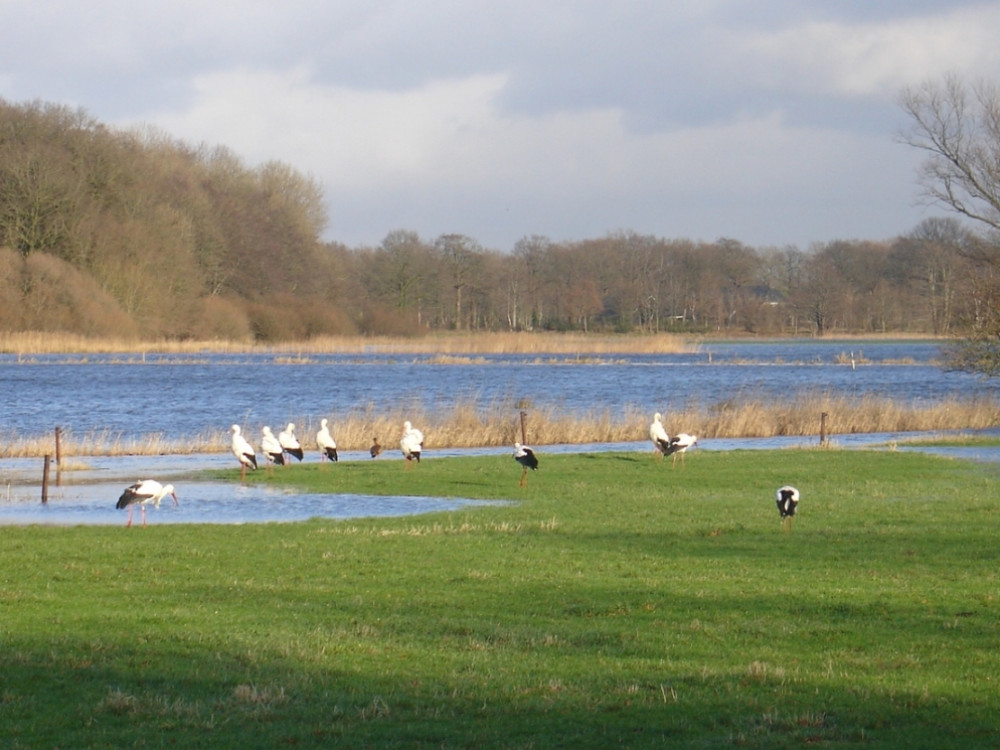 Vechtdal in Overijssel | Natuur, logeertips en mooiste plekken