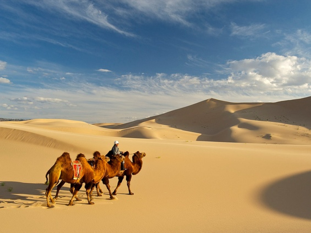 Gobiwoestijn | Tips voor reizen naar de Gobi in Mongolië
