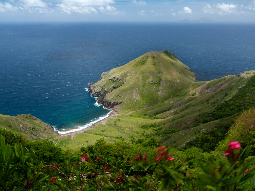 Saba vakantie | Natuur op Saba | Naturescanner Saba vakantie | Natuur op Saba | Naturescanner
