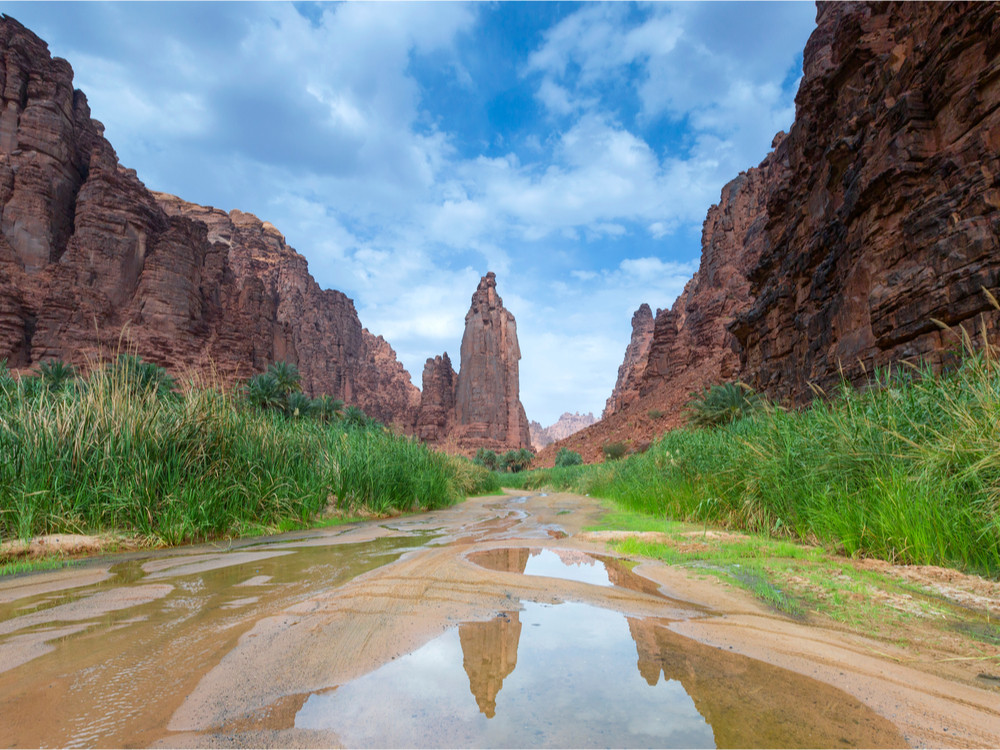 Natuur in Saoudi-Arabië
