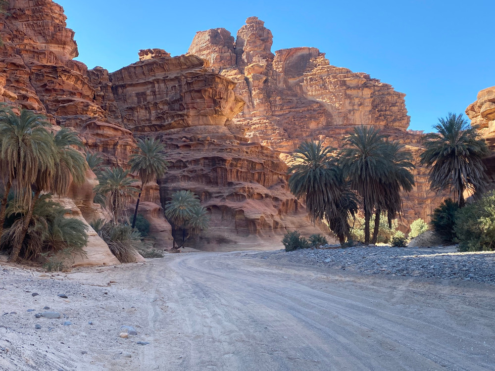 Natuur in Saoudi-Arabië