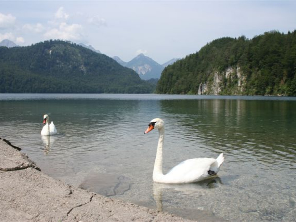 Natuur in de Duitse Alpen | 5 Mooie plekken in Zuid-Duitsland