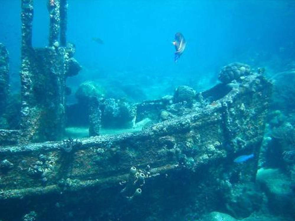 Natuur Curaçao | Mooiste plekjes op Curacao