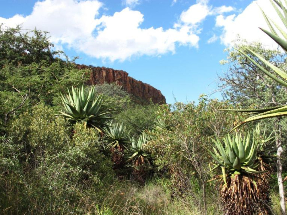 Waterberg Plateau Namibie | Waterberg National Park