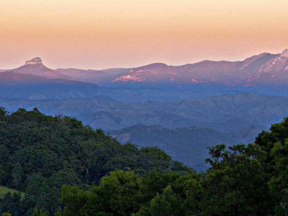 Lamington National Park | Bezienswaardigheden in Lamington