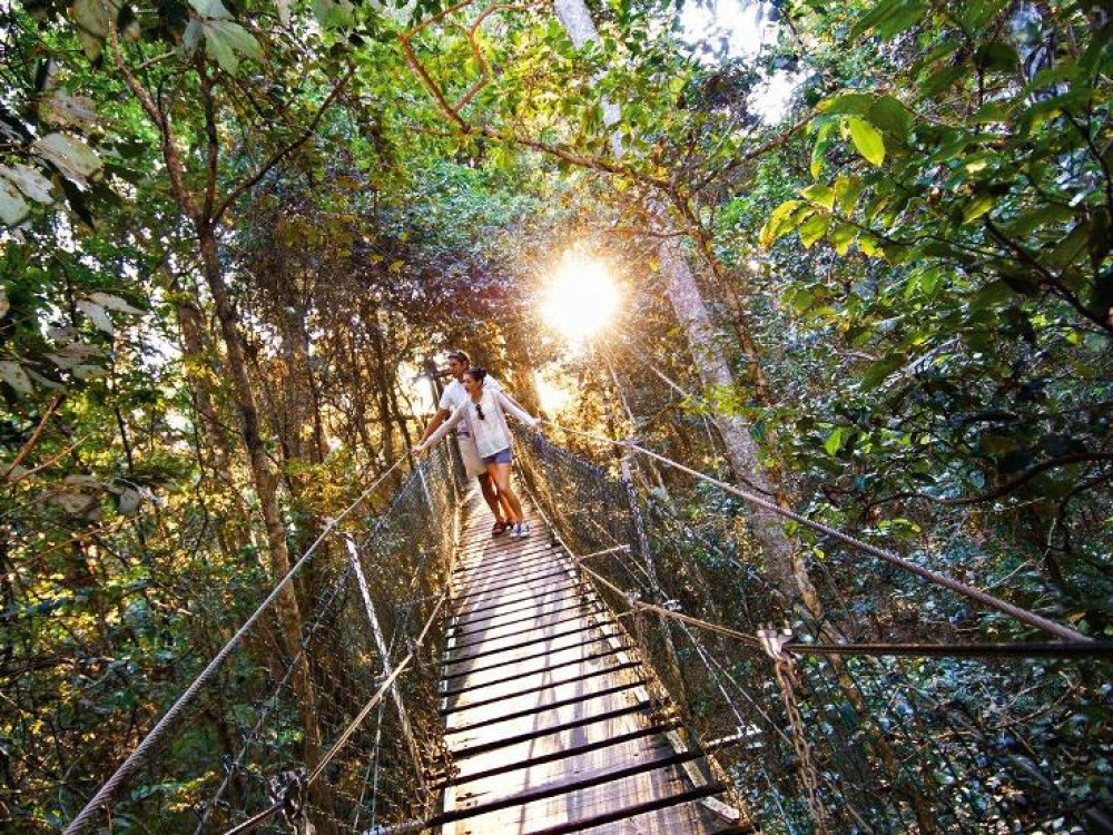 Lamington National Park | Bezienswaardigheden in Lamington