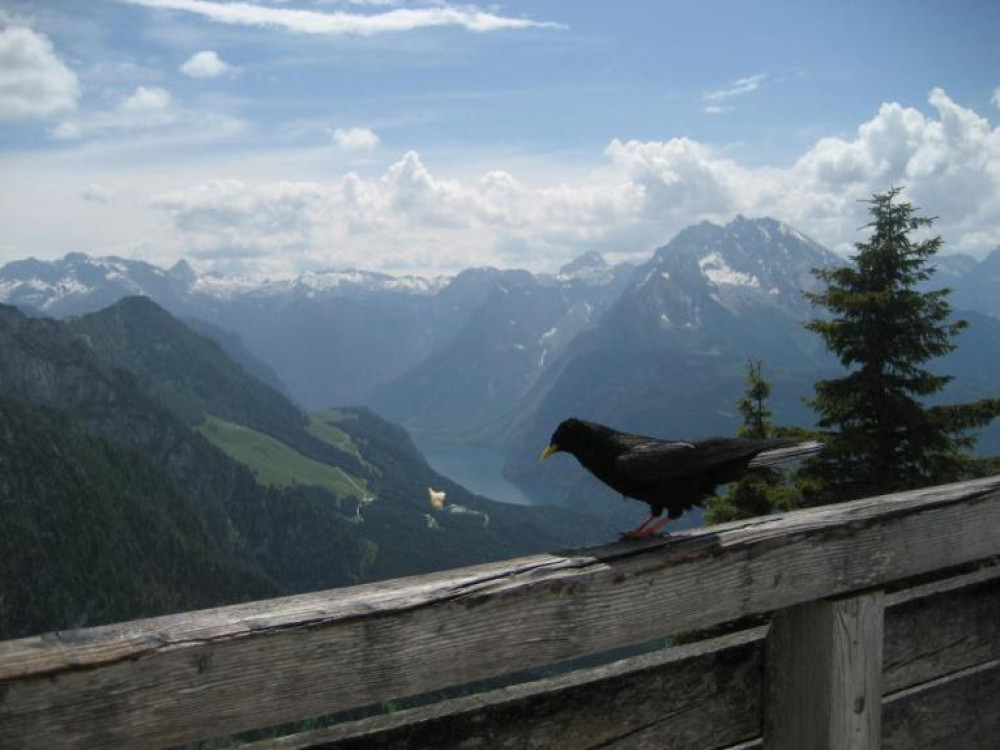Natuur in de Duitse Alpen | 5 Mooie plekken in Zuid-Duitsland