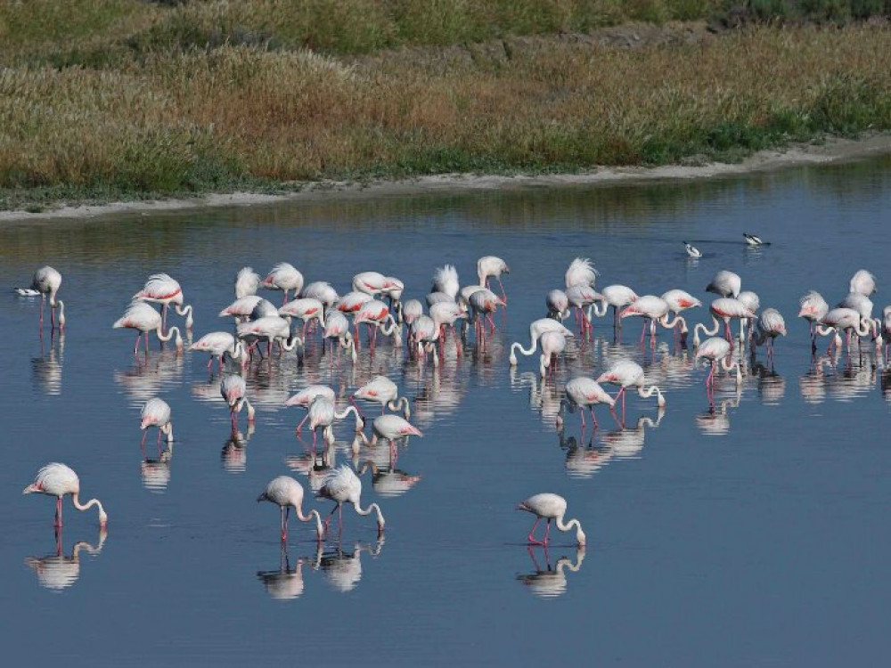 Andalusie natuur | 17 Mooiste plekken in Zuid-Spanje