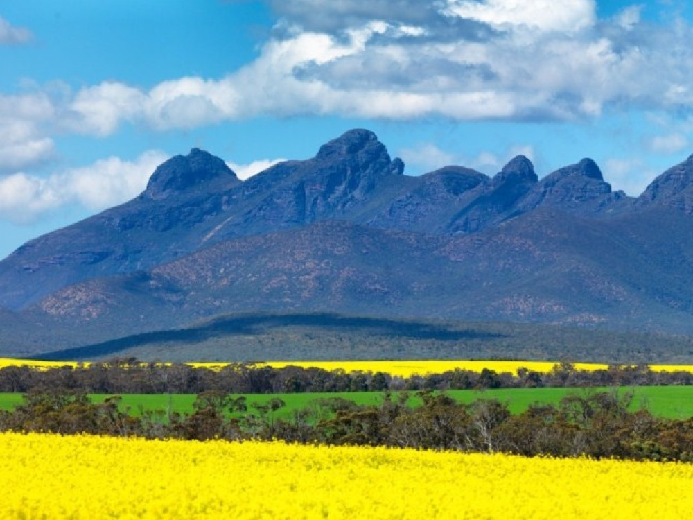 Stirling Range National Park | Natuur in West-Australië