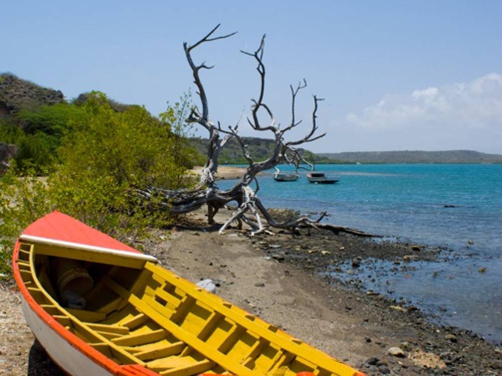 Natuur Curaçao | Mooiste plekjes op Curacao