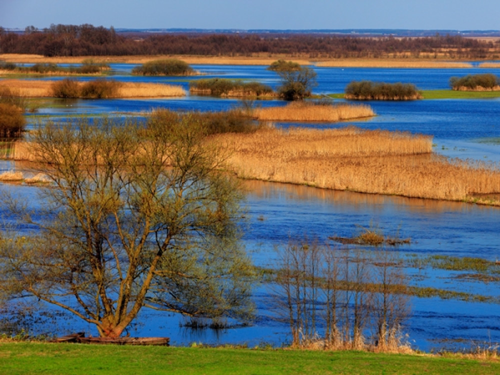 Biebrza in Polen | Natuur in het Biebrza moerasgebied