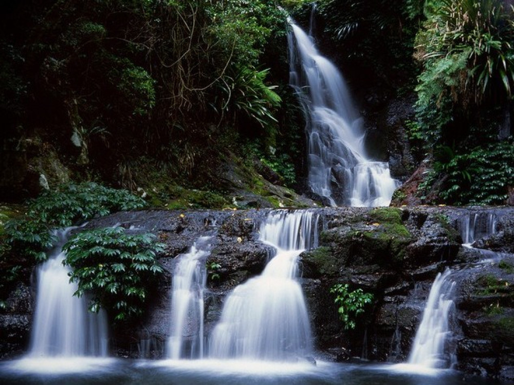 Lamington National Park | Bezienswaardigheden in Lamington