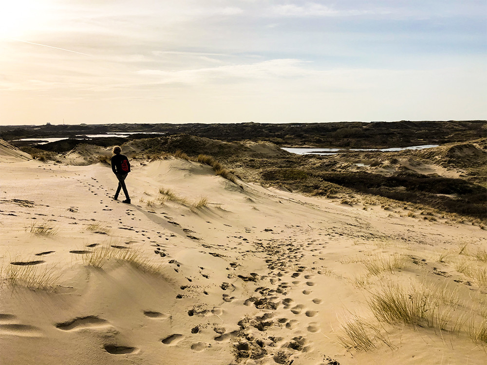 Nationaal Park Zuid Kennemerland | Natuur bij Haarlem