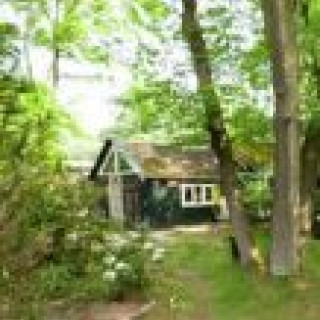 Natuur in 't Gooi | Mooie plekken in de Gooi en Vechtstreek