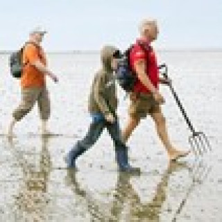 Werelderfgoed Waddenzee bezoeken | 10x mooie plekken